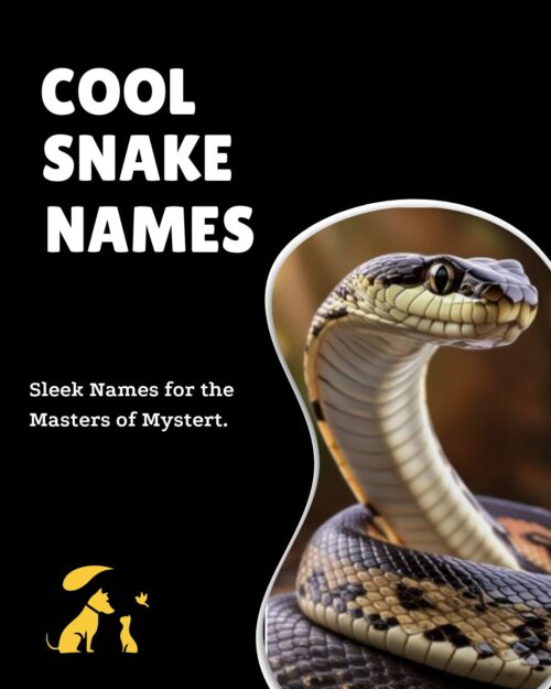 Top 500+ Famous Snake Names – Cool, Funny & Unique Ideas – Funny ...