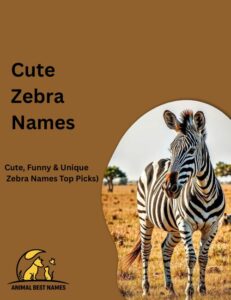 500+ Zebra Names – Cool, Cute & Unique Ideas for Your Striped Friend ...