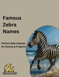 500+ Zebra Names – Cool, Cute & Unique Ideas for Your Striped Friend ...
